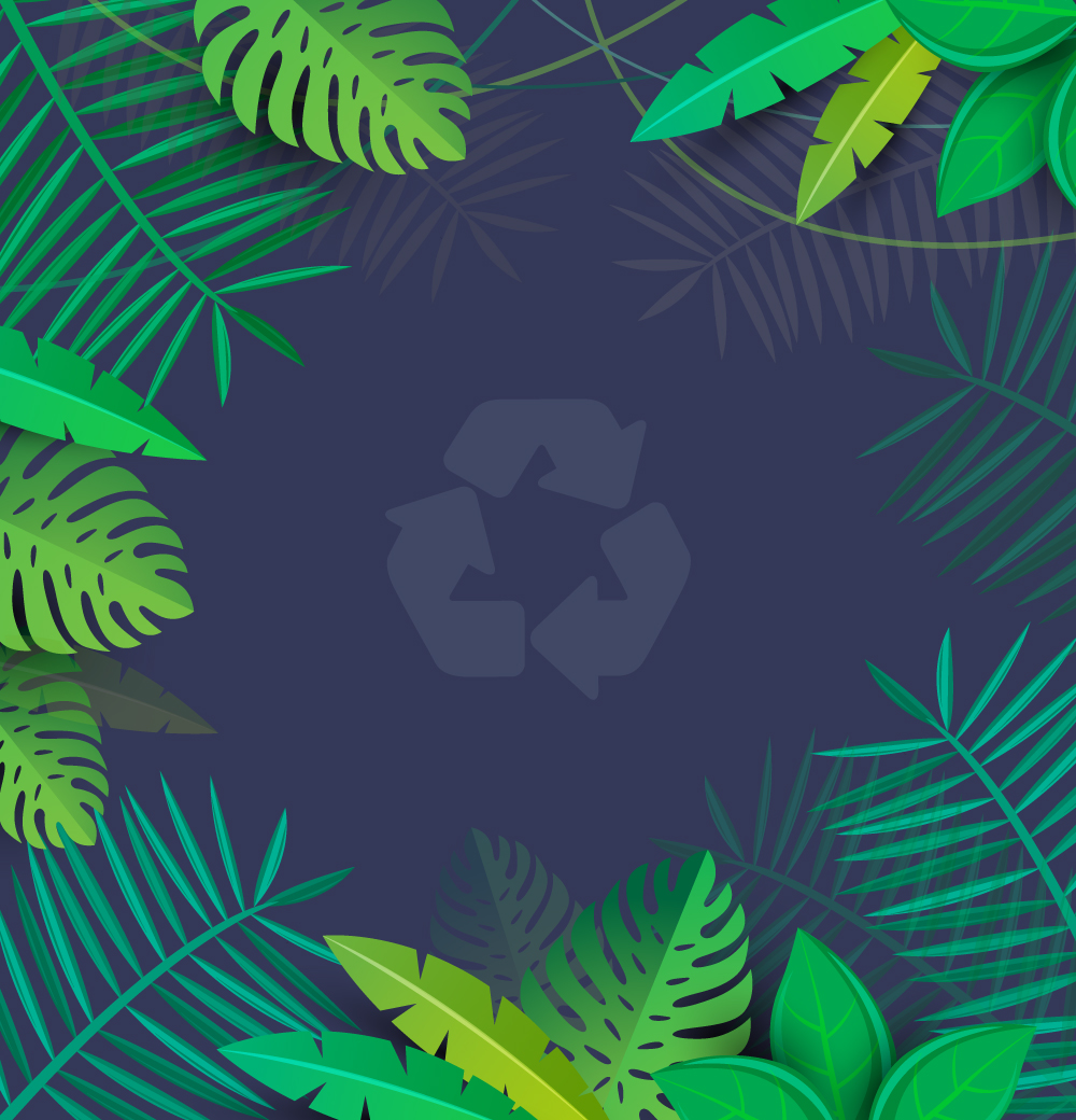 eco-portfolio | Code54 | Eco friendly web design & marketing agency